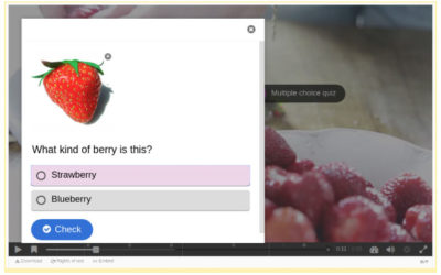How to get the most out of your Moodle Course Design | Lingel Learning