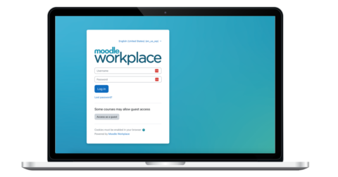 Moodle Workplace Archives | Lingel Learning